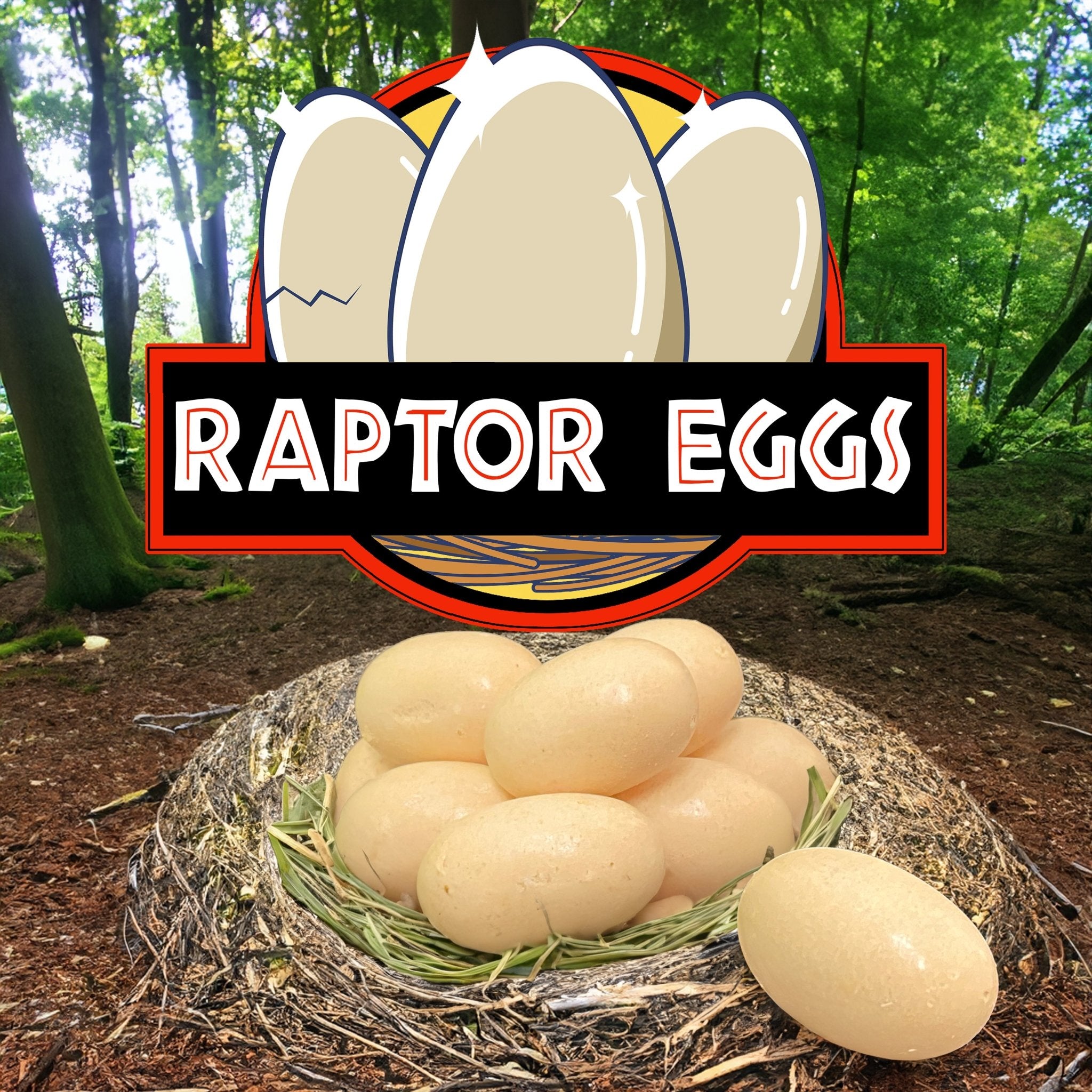 Raptor Eggs (5 ounces) – Zandies